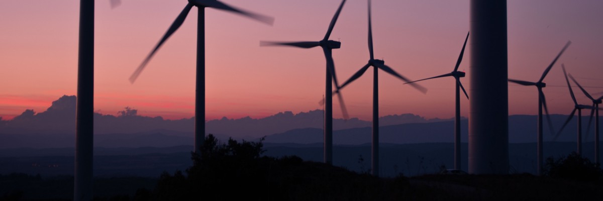 Ring Replacement - Camp 8 Iron Ring